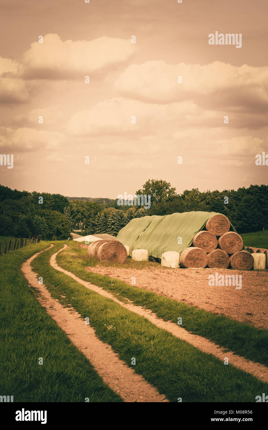 Hay bale ball hi-res stock photography and images - Alamy