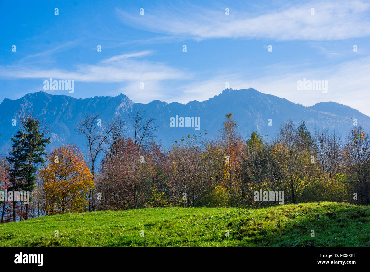 landscape in the Alps with fresh green meadows. Swiss Alps Stock Photo ...