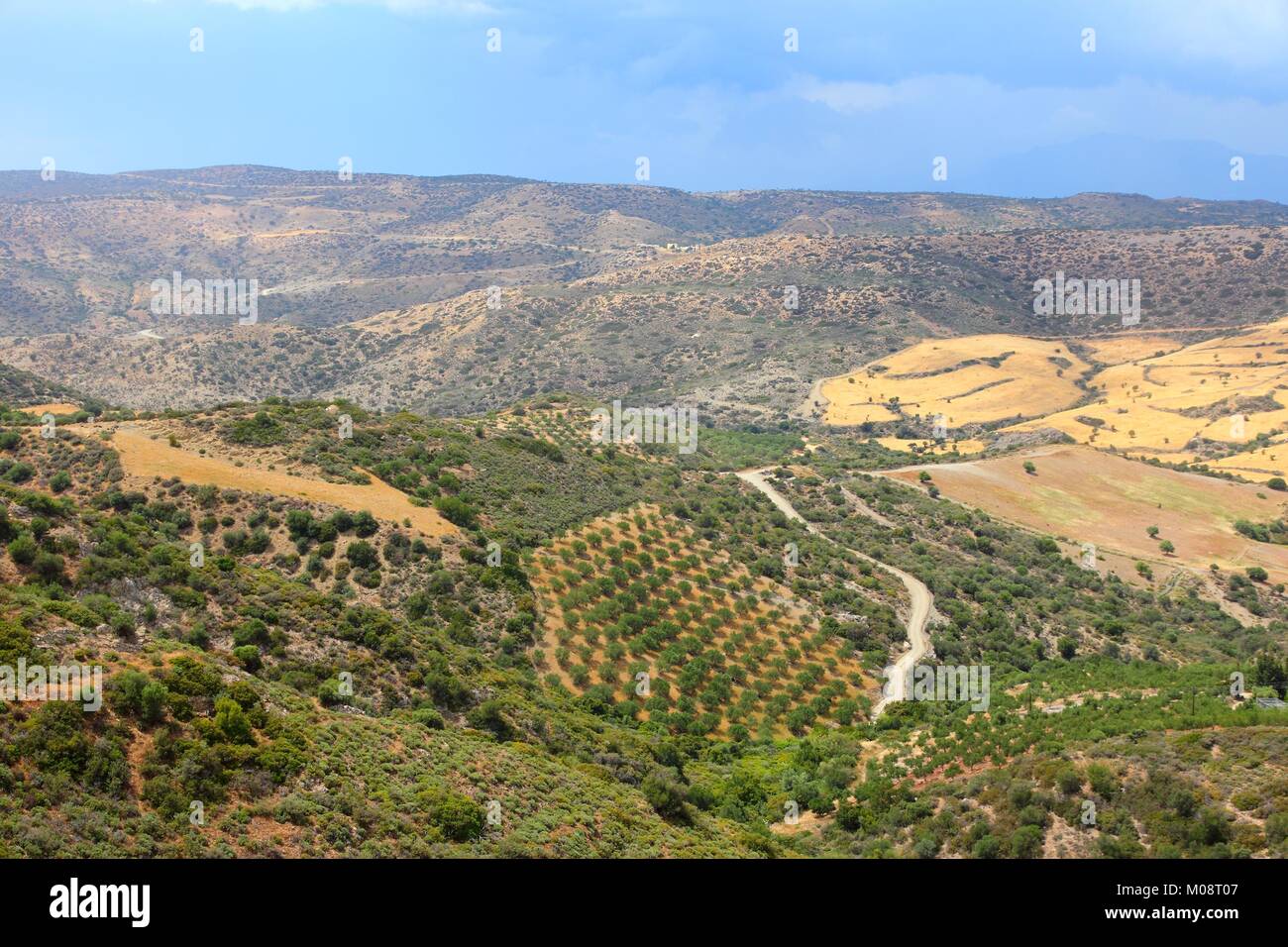 Landscape of Crete island in Greece. Olive tree groves, hills and ...