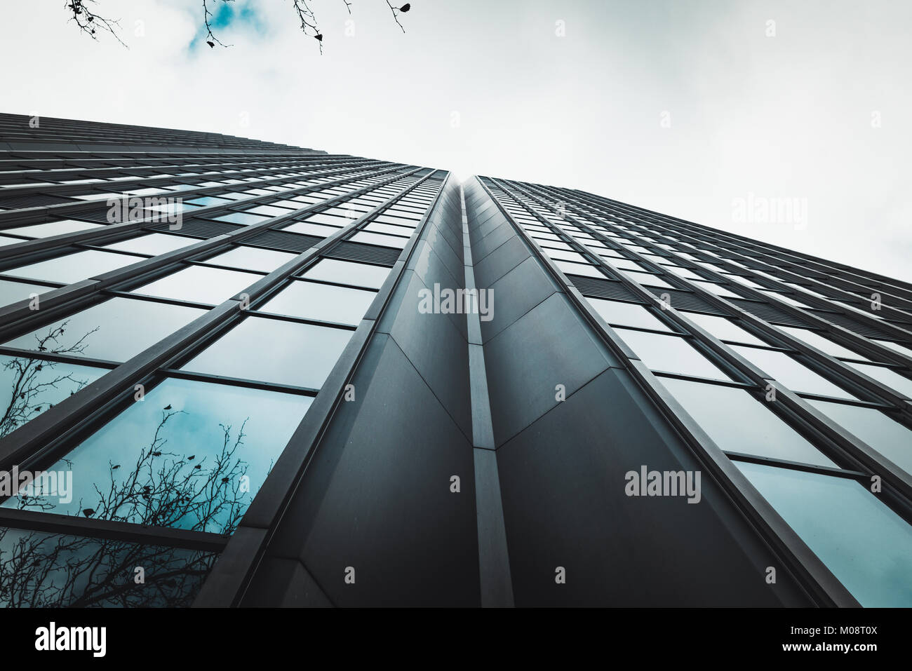 skyscrapers low angle view. glass surface Stock Photo - Alamy