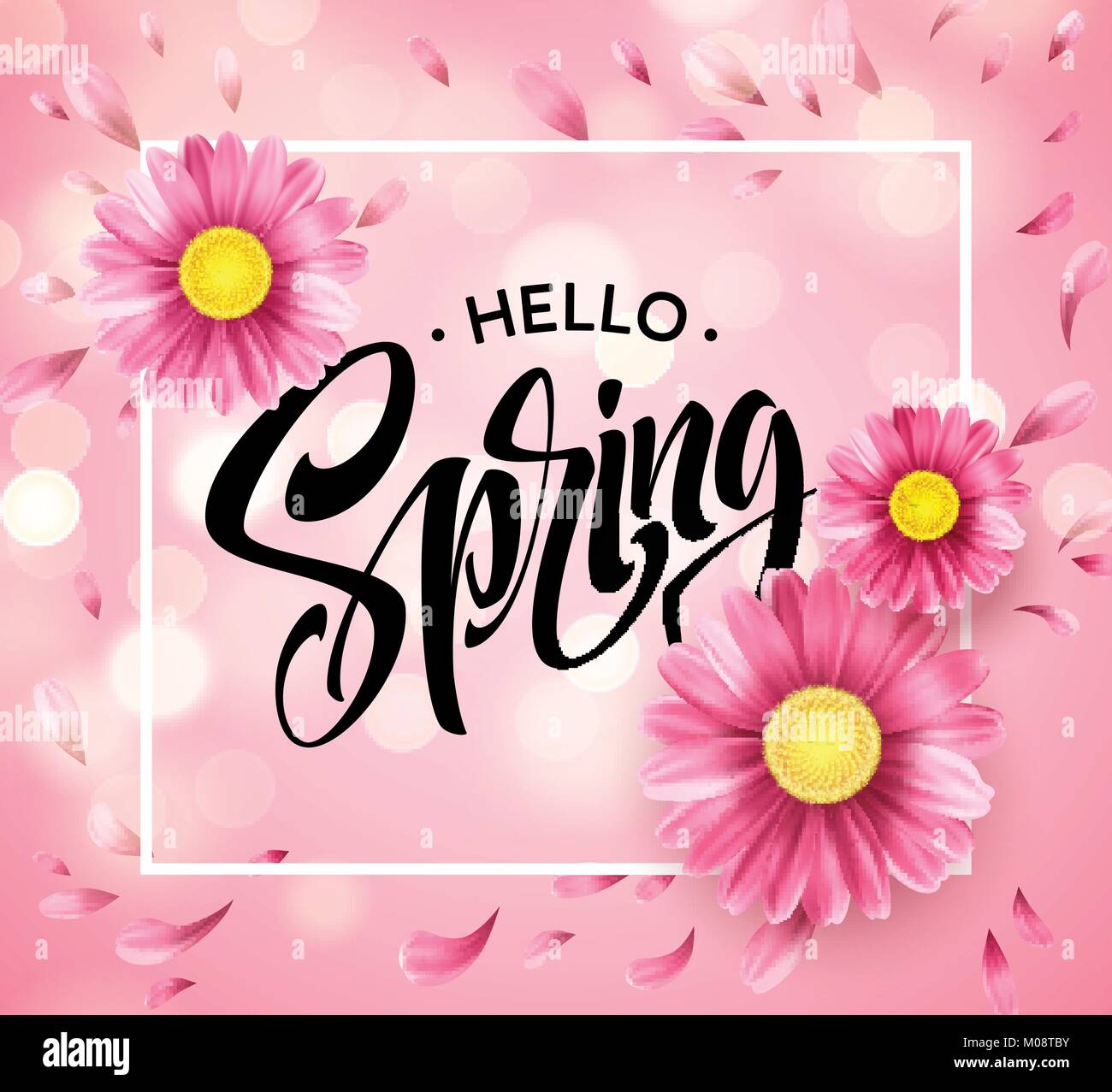 Daisy Flower Background and Hello Spring Lettering. Vector Illustration ...