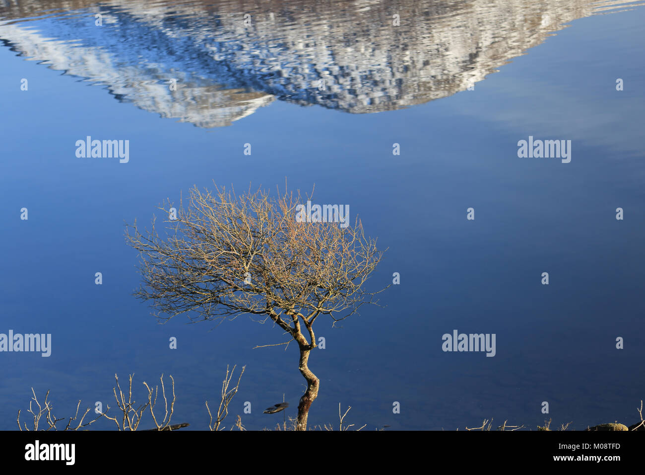 snow covered hillside reflected in calm lake waters, upside down ...