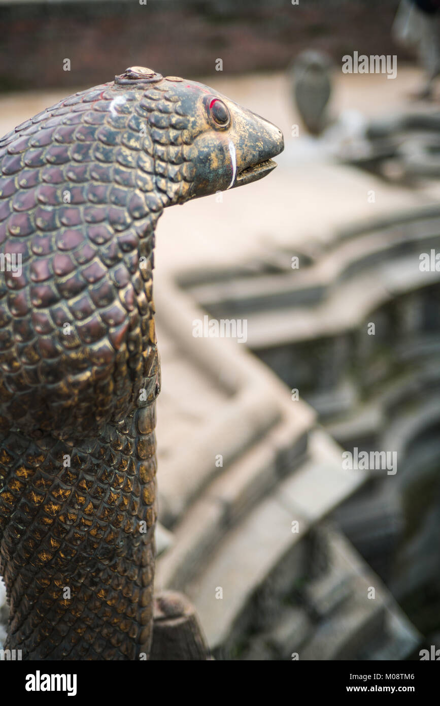 Snake Pond, Bhaktapur, Nepal, Asia Stock Photo - Alamy