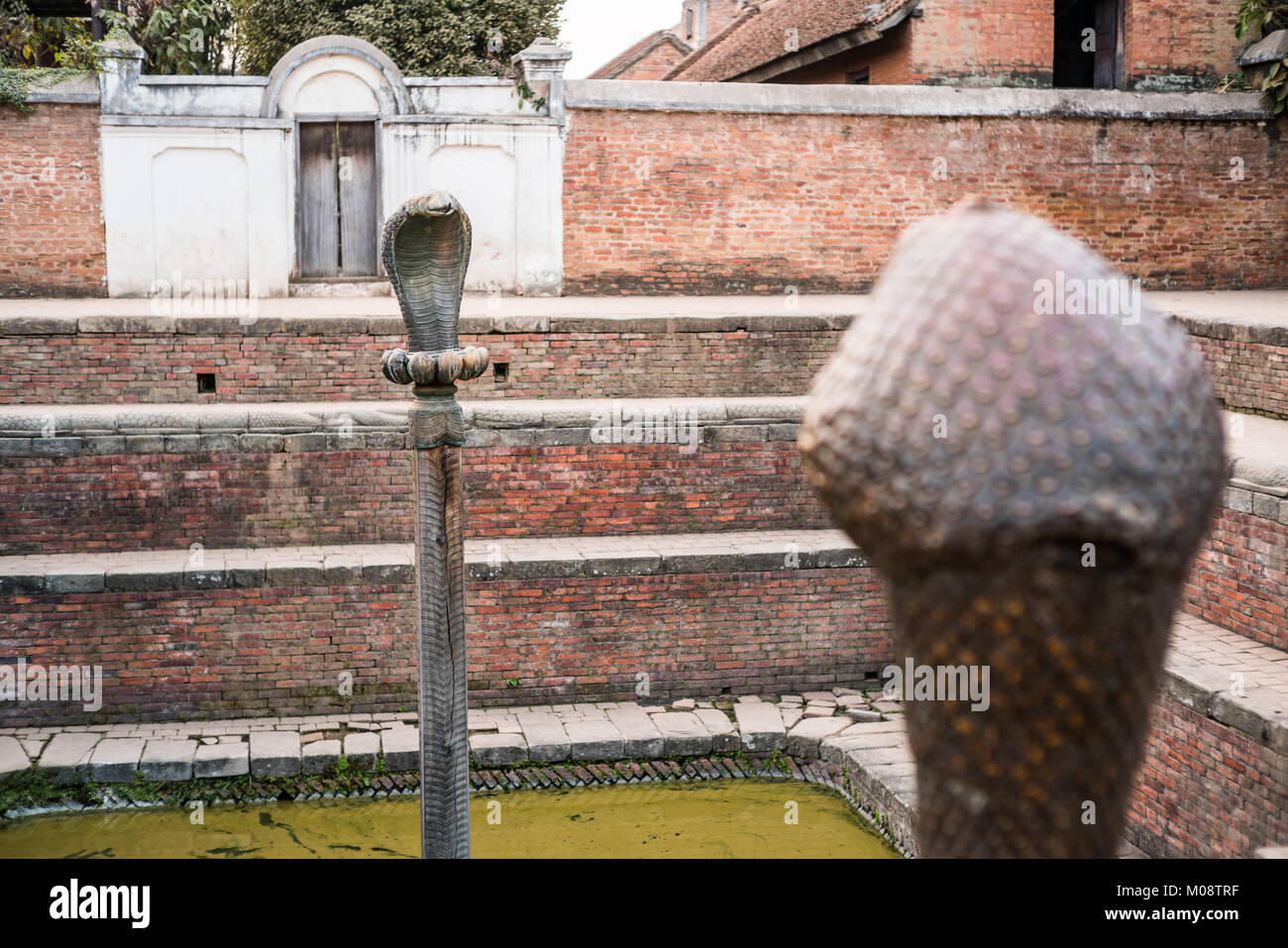 Snake Pond, Bhaktapur, Nepal, Asia Stock Photo - Alamy