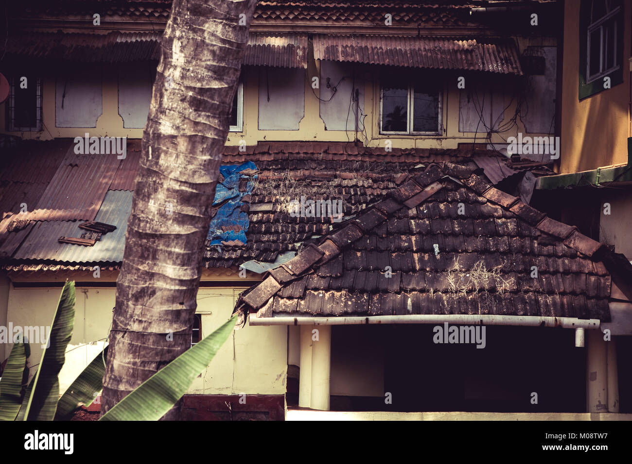 Tropical Spice Plantation, Goa Stock Photo - Alamy