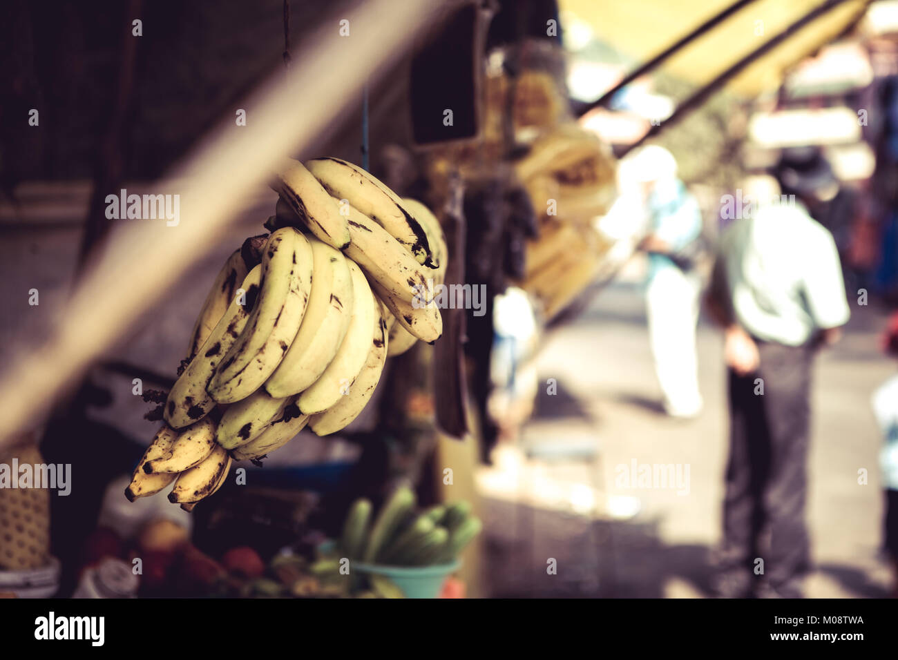 Banana trees india hi-res stock photography and images - Alamy