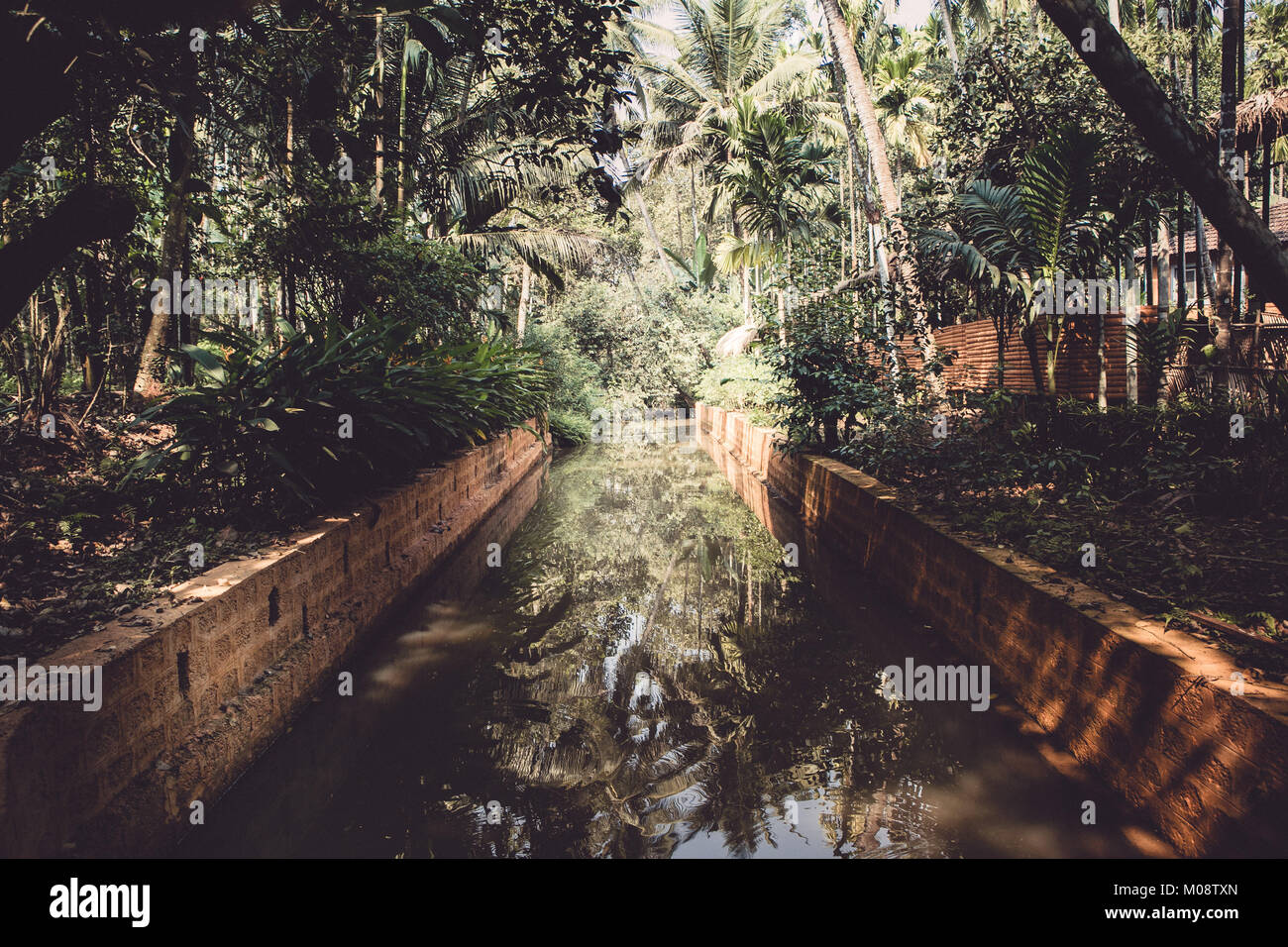 Tropical Spice Plantation, Goa Stock Photo - Alamy