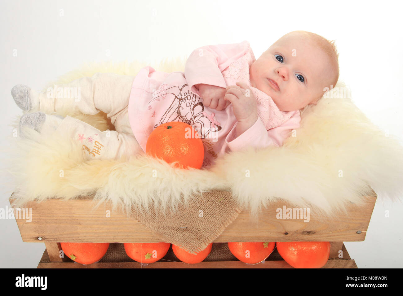 Baby oranges hi-res stock photography and images - Alamy
