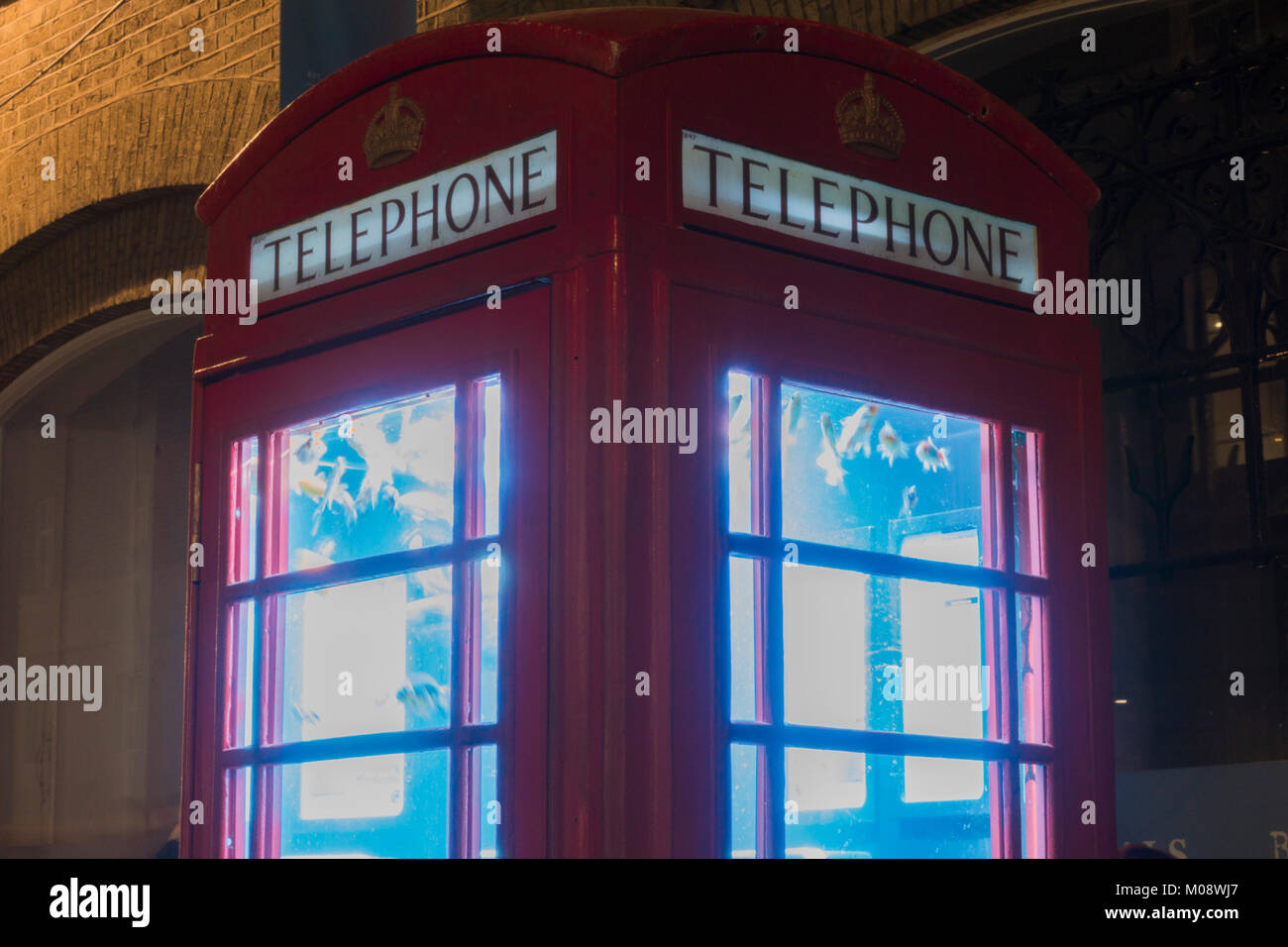 A phone box aquarium Stock Photo - Alamy