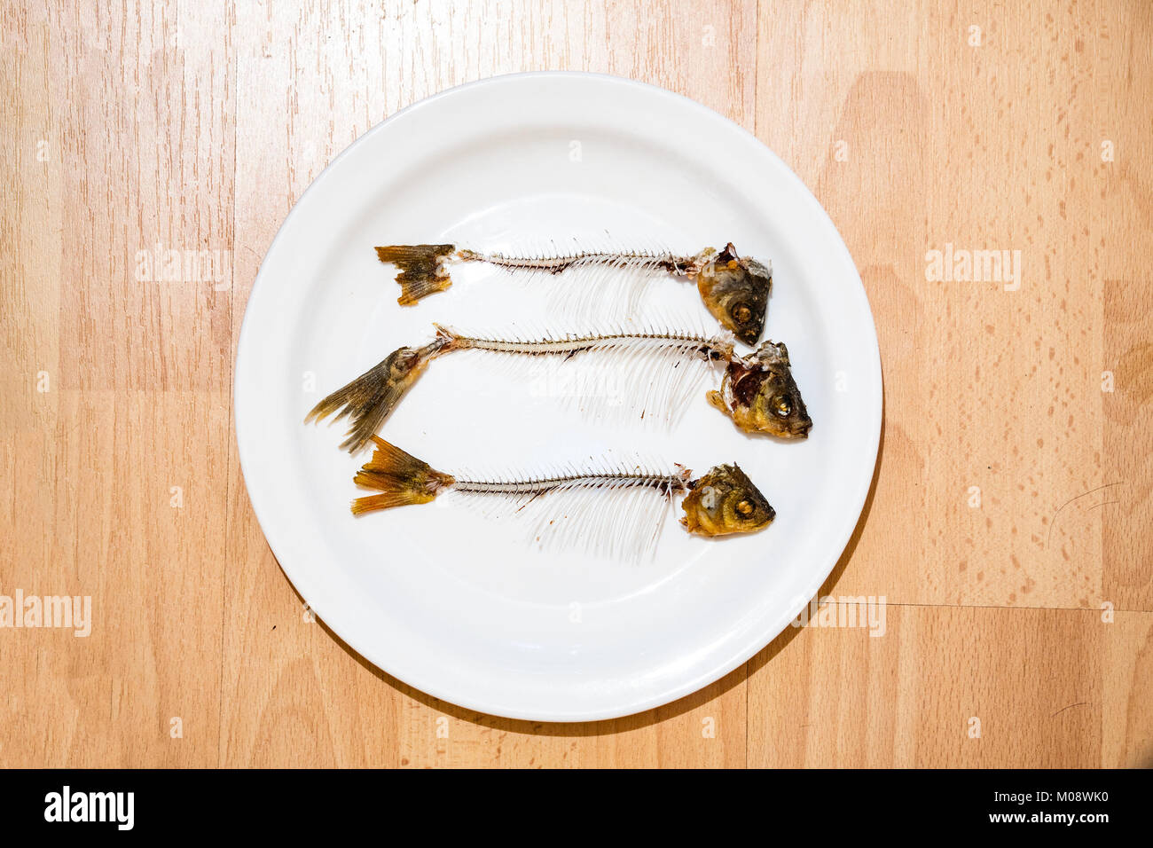Fishbone on the plate hi-res stock photography and images - Alamy