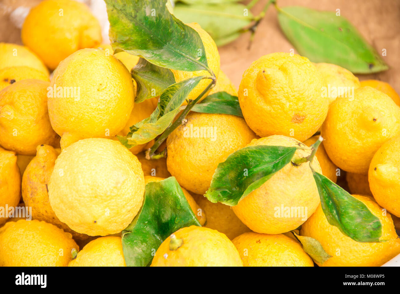 Group of many Lemons with leaves Stock Photo - Alamy