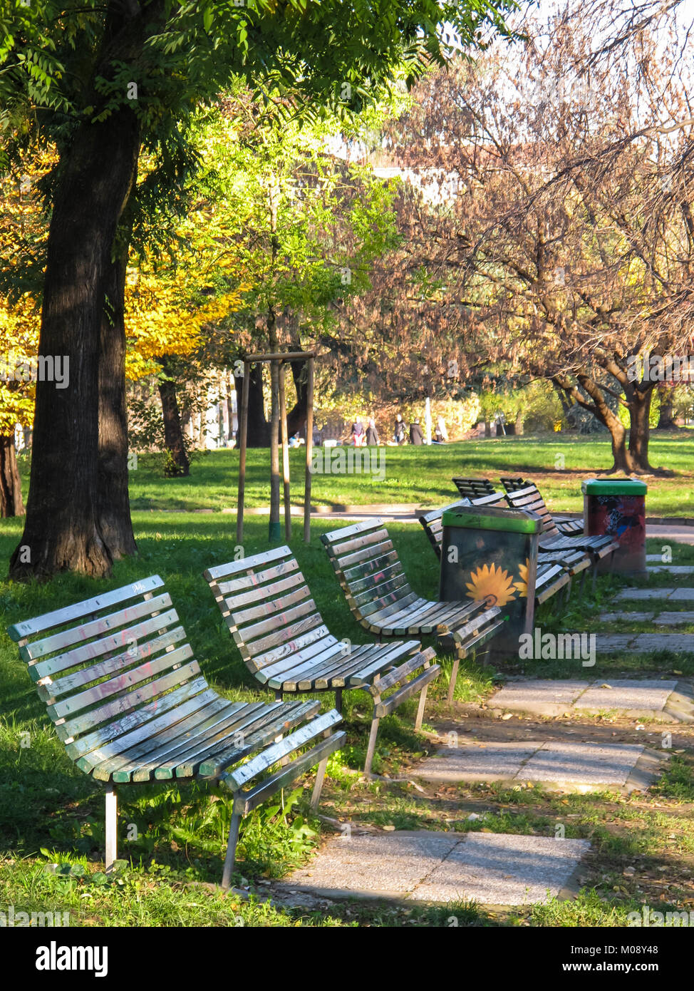 benches at the park Stock Photo - Alamy