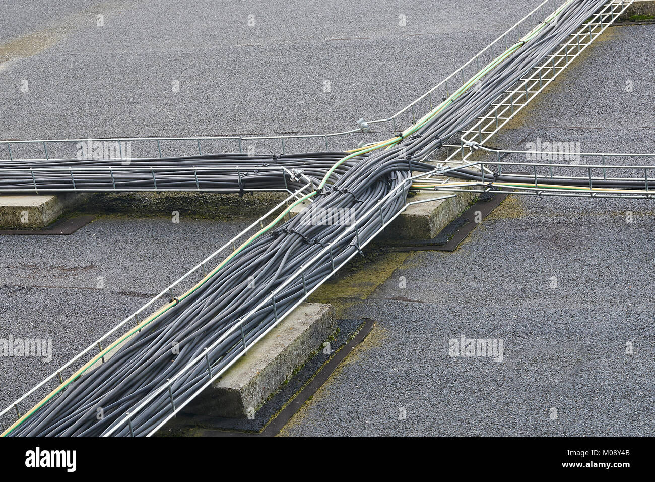 Network cabling hi-res stock photography and images - Alamy
