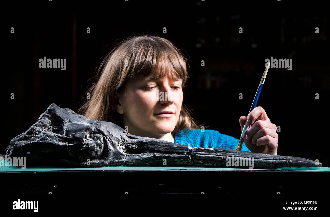 Sarah King, curator of natural science at the Yorkshire Museum in York ...