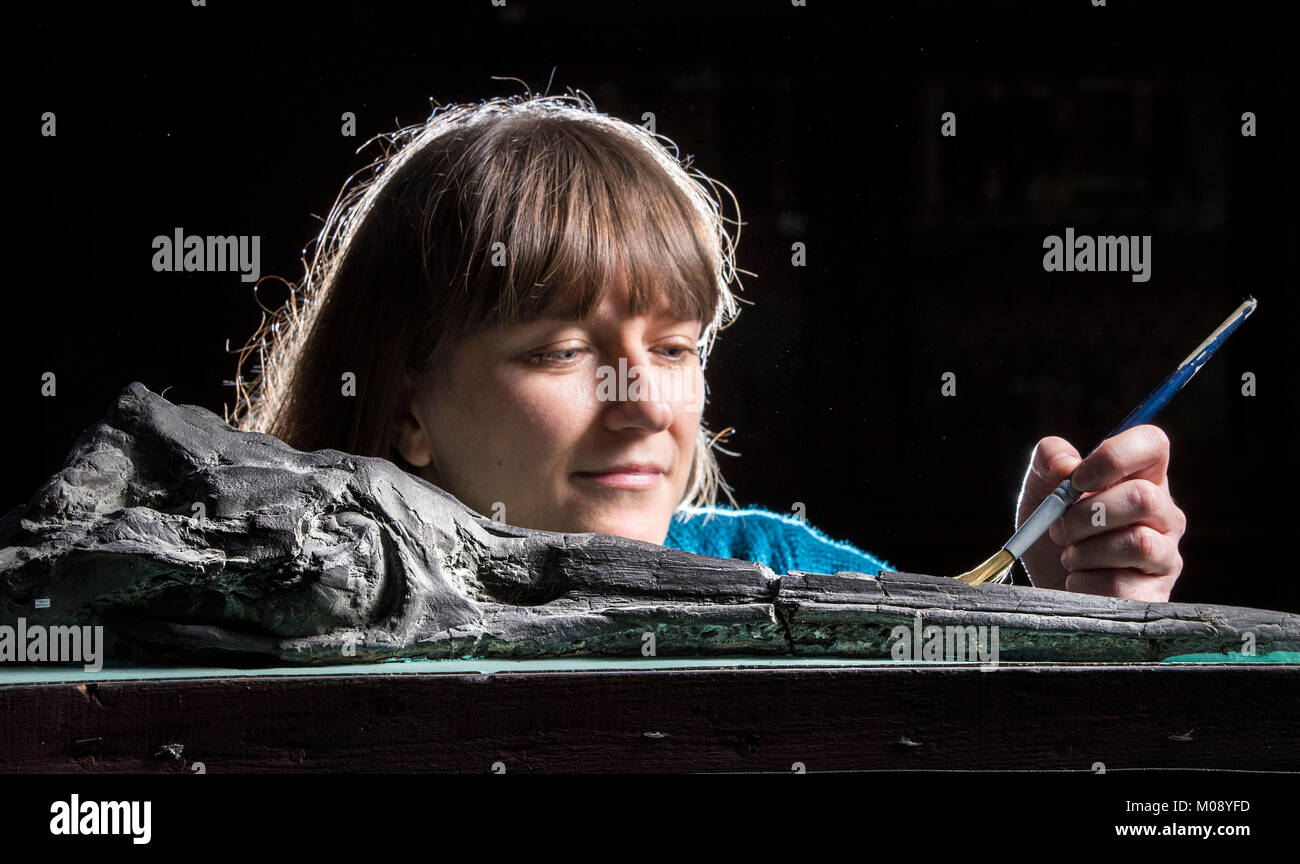 Sarah King, curator of natural science at the Yorkshire Museum in York ...