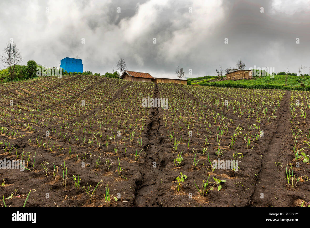 Active volcano java village hi-res stock photography and images - Alamy
