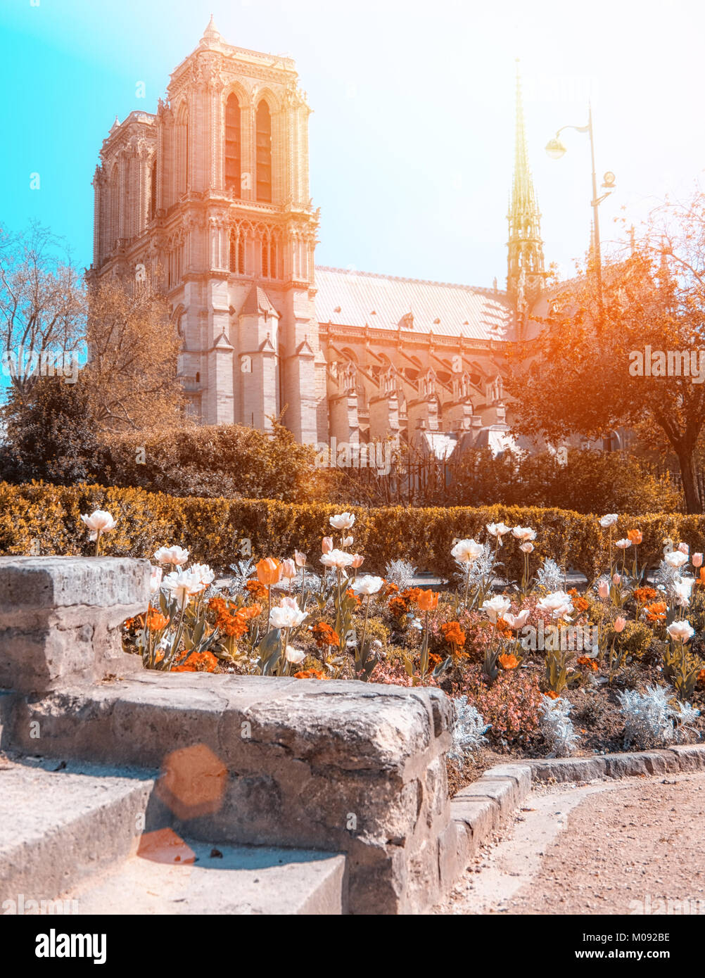 Paris in Spring. Beautiful flowers in front of Notre-Dame cathedral ...
