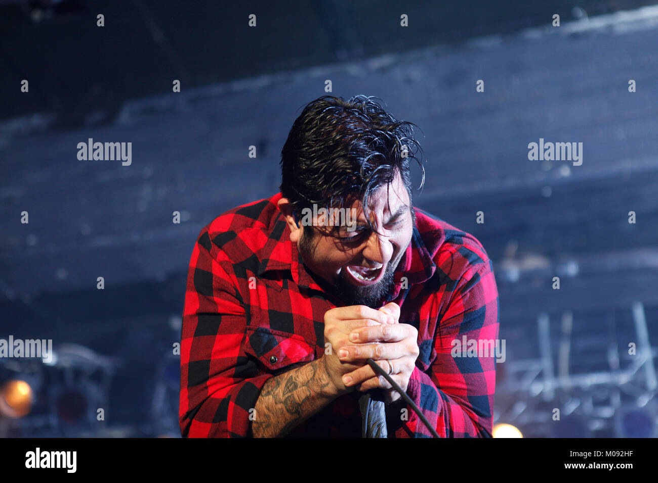 The American rock band Deftones performs a live concert at the Große ...
