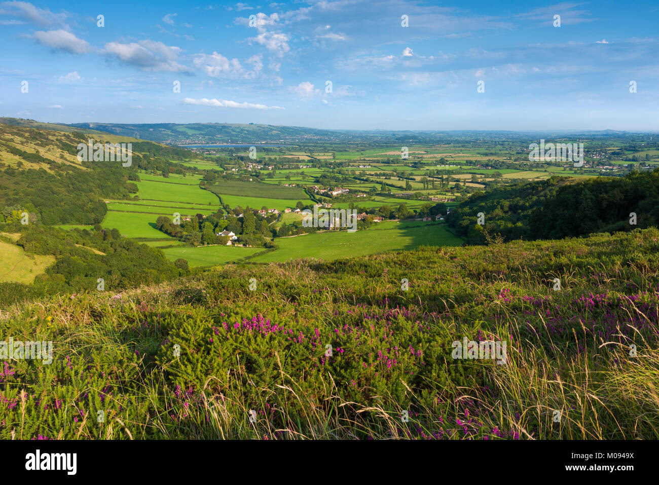 Compton bishop hi-res stock photography and images - Alamy