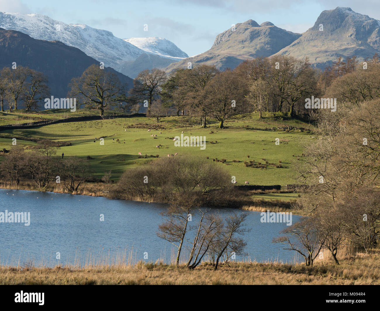 View of Loughrigg Tarn in the Lake District Stock Photo - Alamy