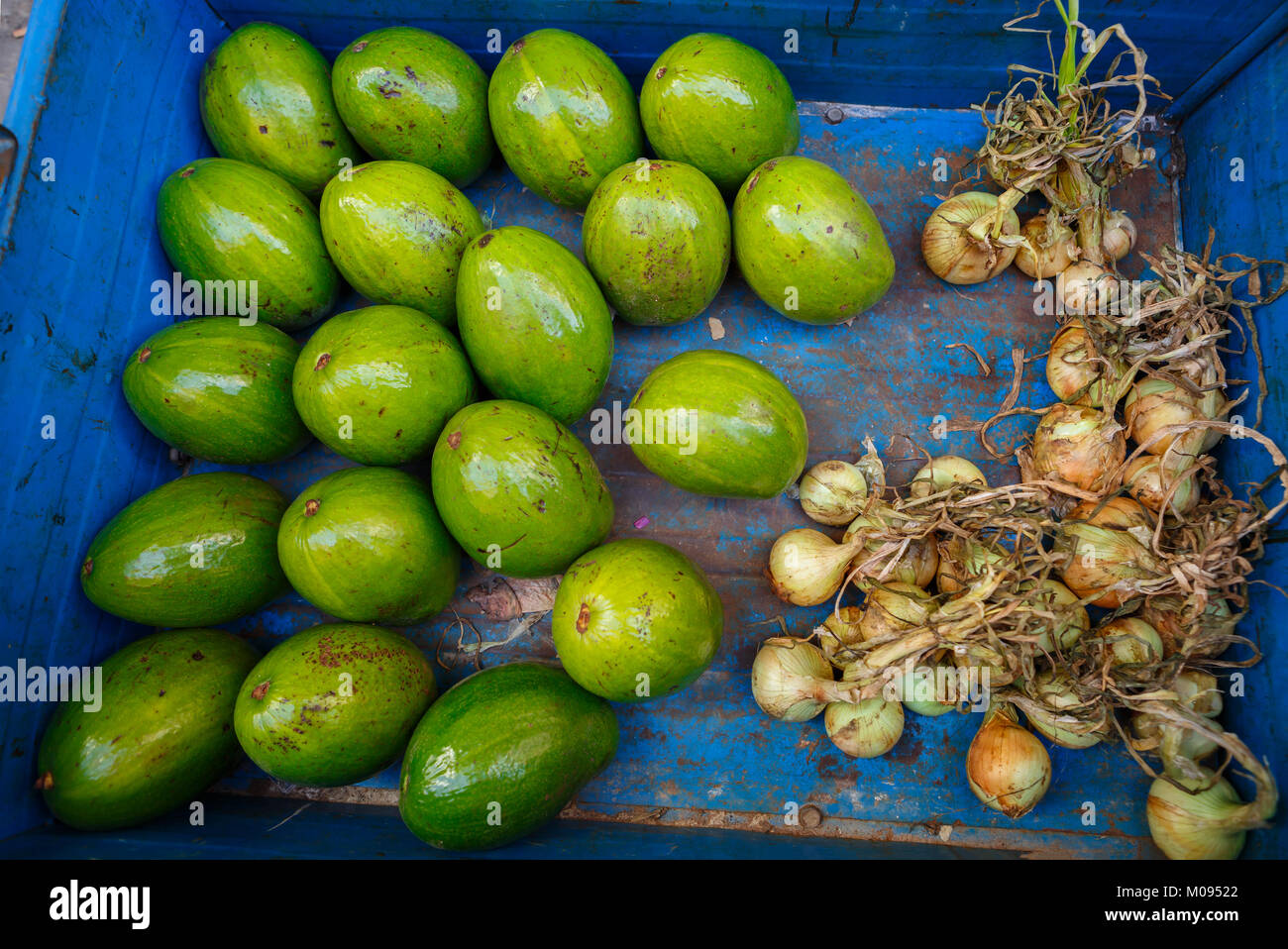 Green avocados in crate hi-res stock photography and images - Alamy