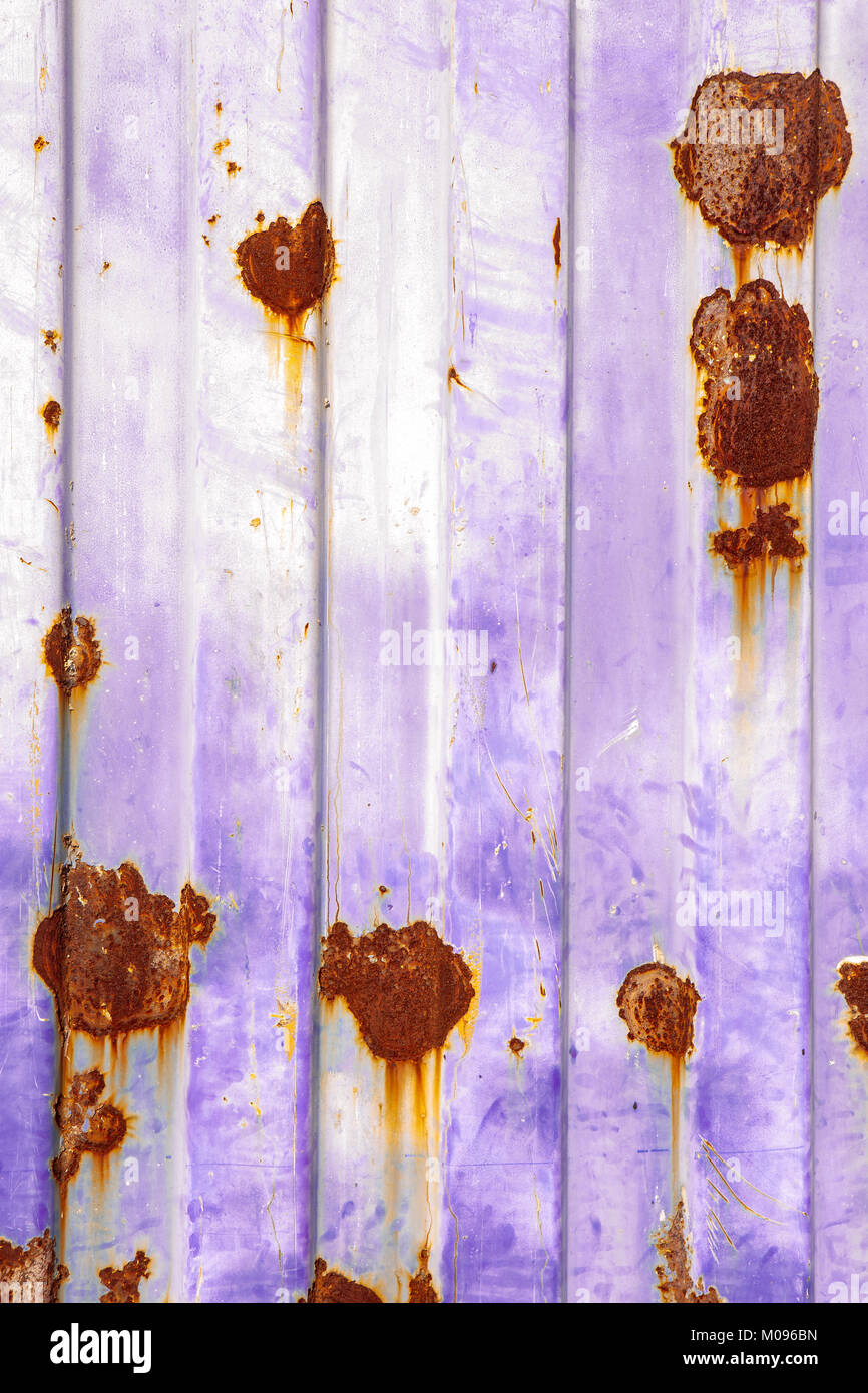 Orange tropical flowers hi-res stock photography and images - Alamy