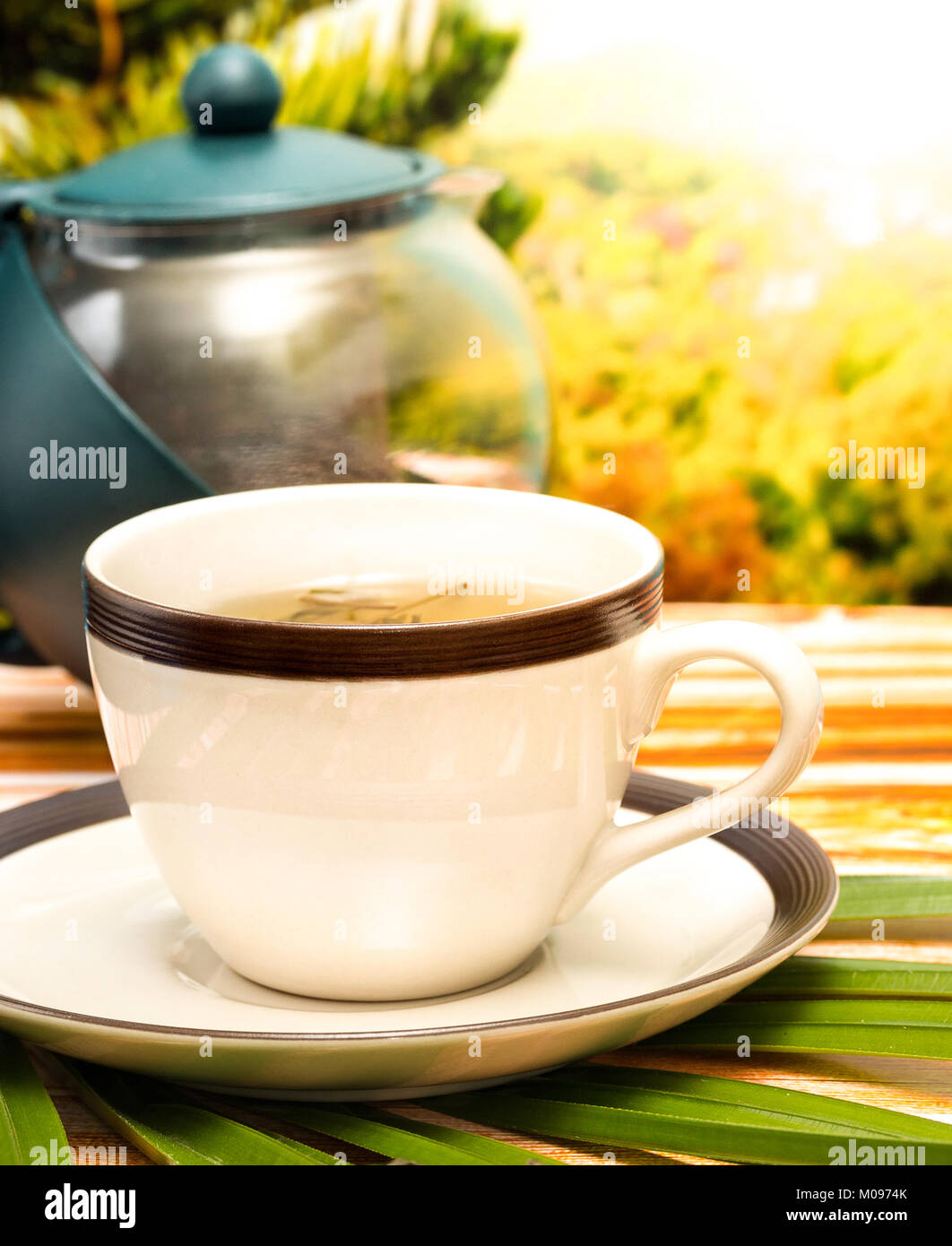 Green Tea Break Indicating Refreshing Drink And Cafeterias Stock Photo ...