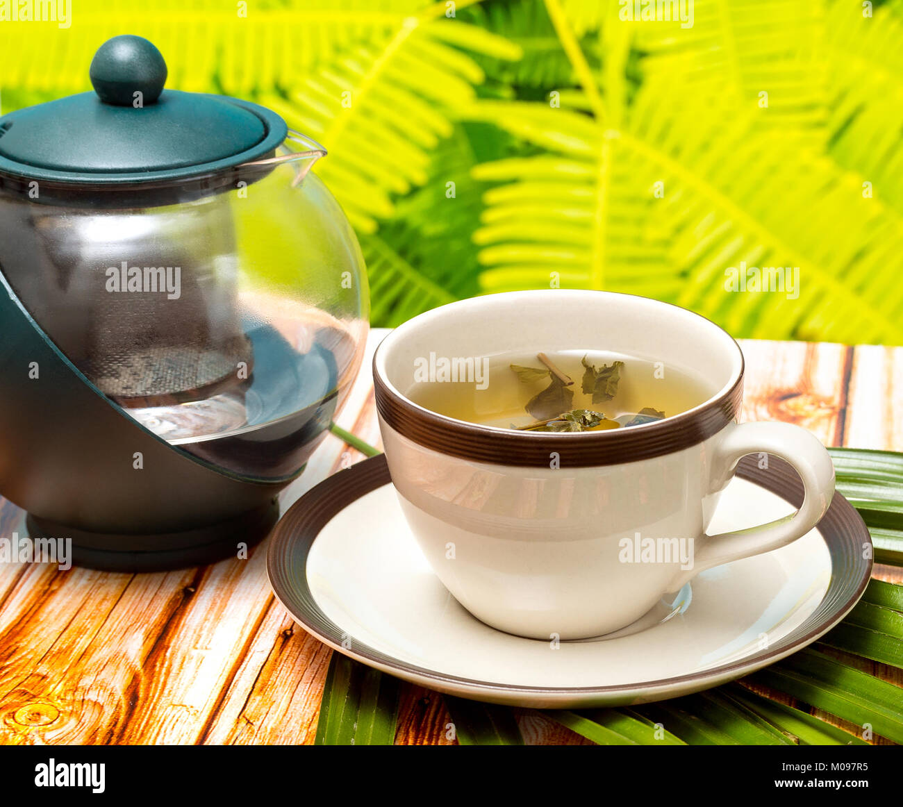 Brewed Green Tea Showing Brews Refreshed And Restaurant Stock Photo - Alamy