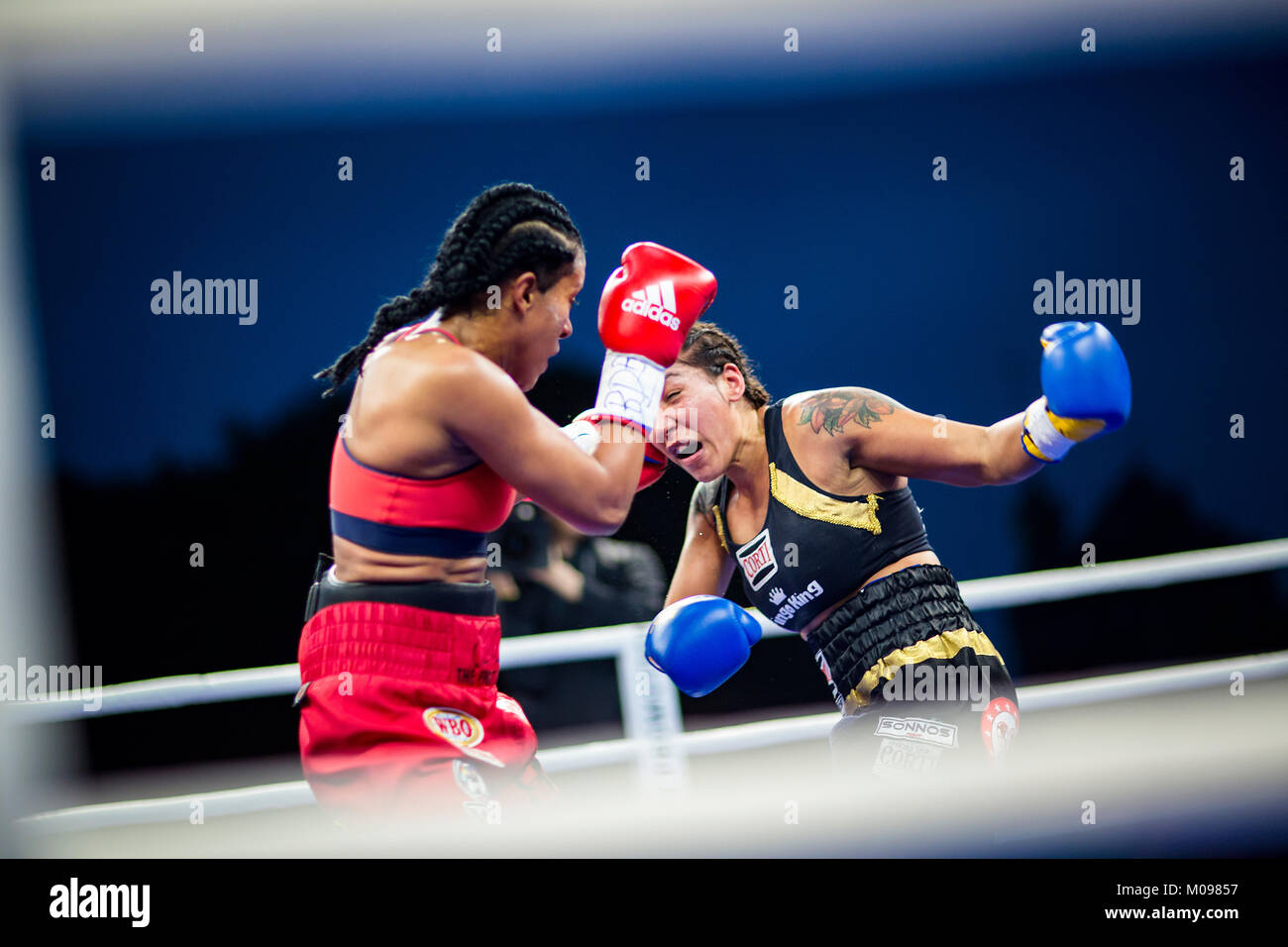 Norway, Bergen - June 09, 2017. The Norwegian professional boxers ...