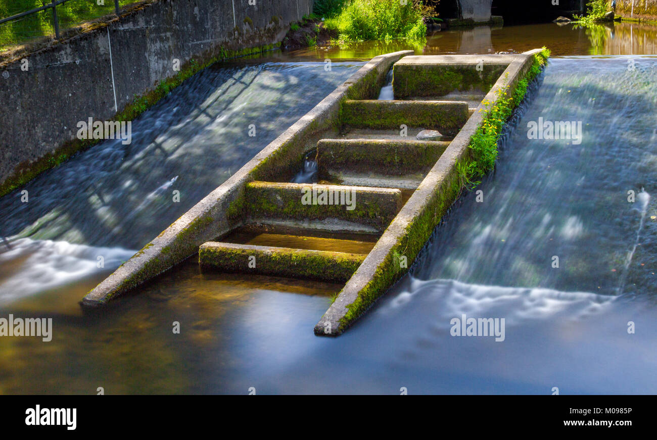 Salmon ladder fish scotland hi-res stock photography and images - Alamy