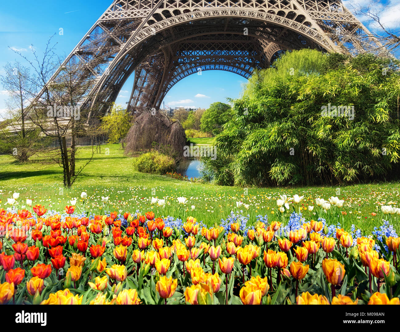 Paris, Eiffel tower on a bright day in Spring, with tulips and hyacinth ...