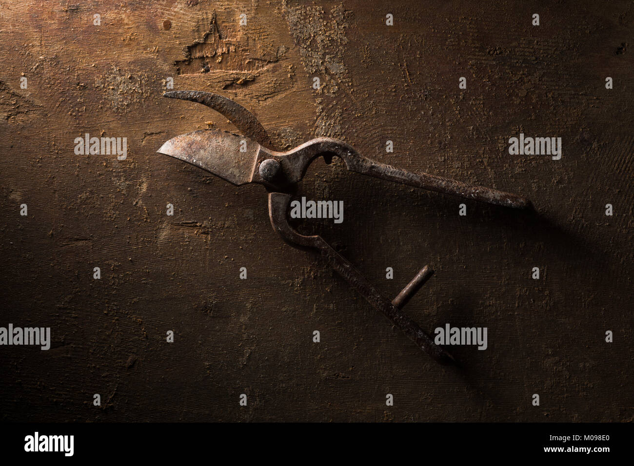 A Pair of Rusty Pruning Shears on Grunge Surface Stock Photo - Alamy