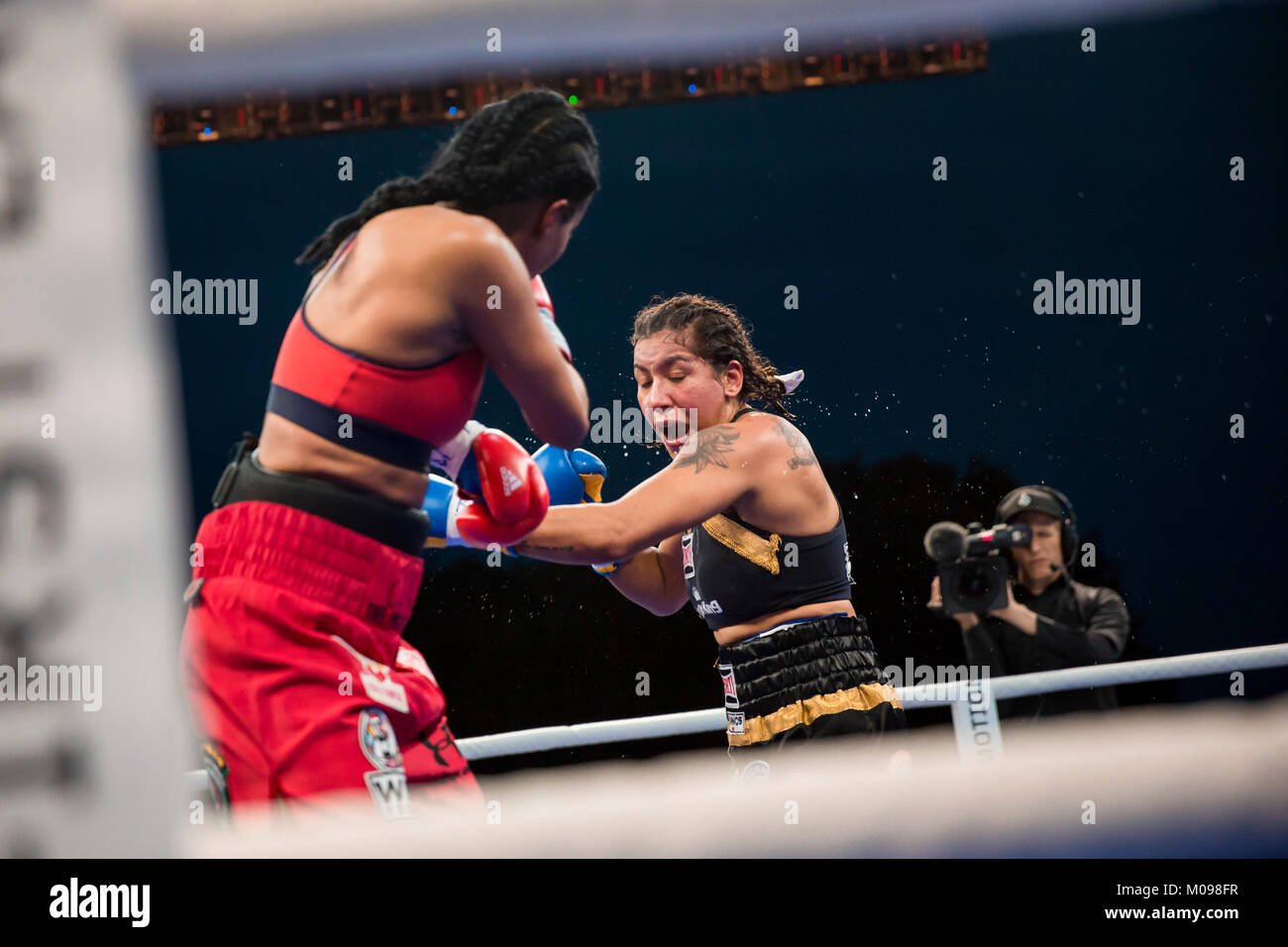 Norway, Bergen - June 09, 2017. The Norwegian professional boxers ...