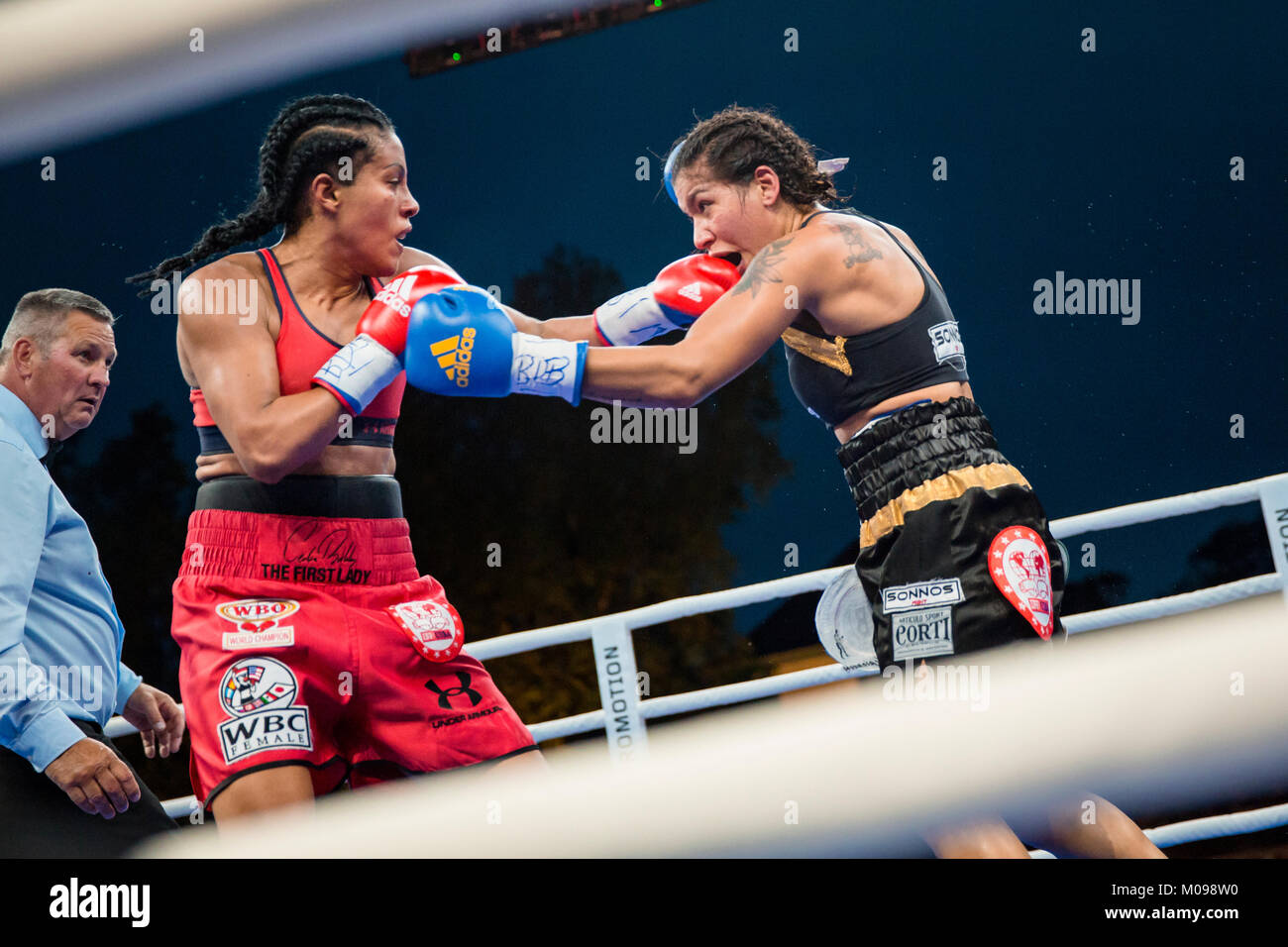 Norway, Bergen - June 09, 2017. The Norwegian professional boxers ...