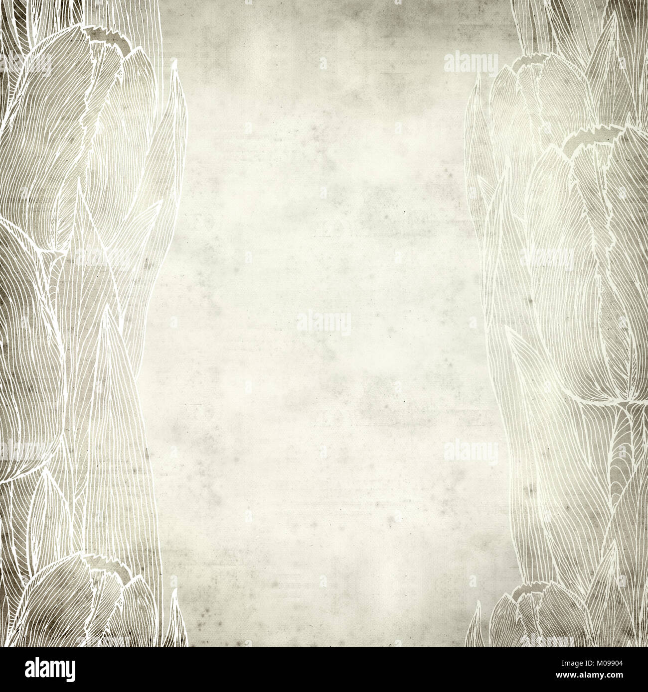 textured old paper background with tulip line drawing design Stock ...