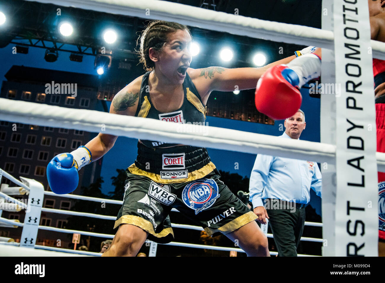 Norway, Bergen - June 09, 2017. The Norwegian professional boxers ...