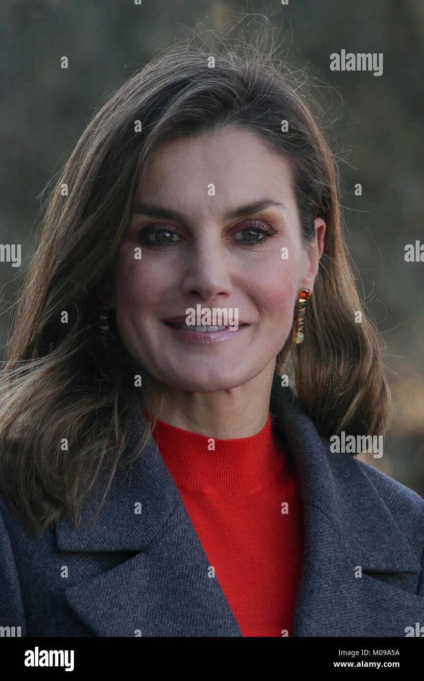 Toledo, Spain. 19th Jan, 2018. Queen Letizia Ortiz during visit to ...