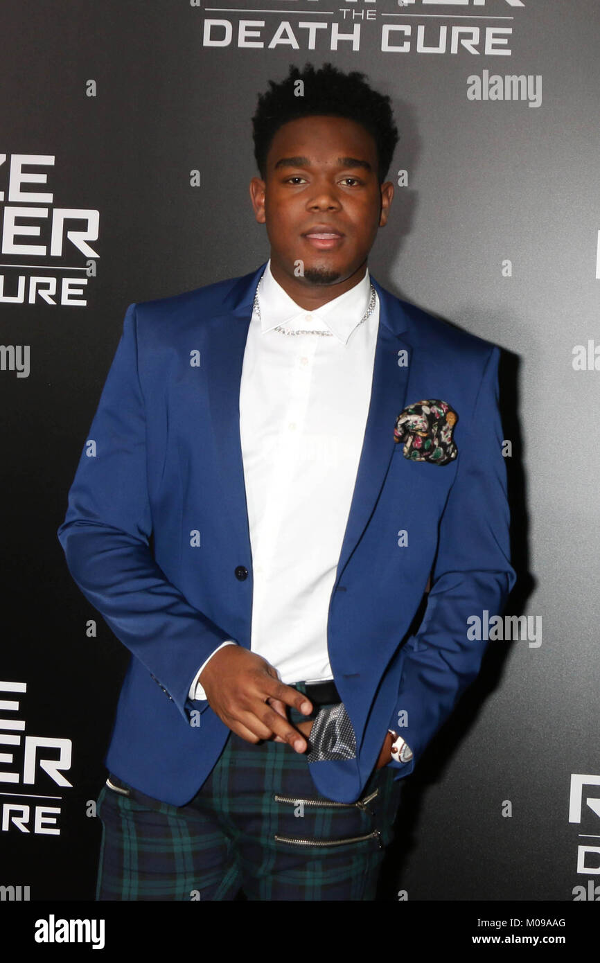 CENTURY CITY, CA - JANUARY 18: Dexter Darden at the "Maze Runner: The ...