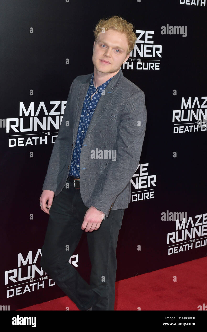 Los Angeles, California, USA. 18th January, 2018. Joe Adler attends the ...