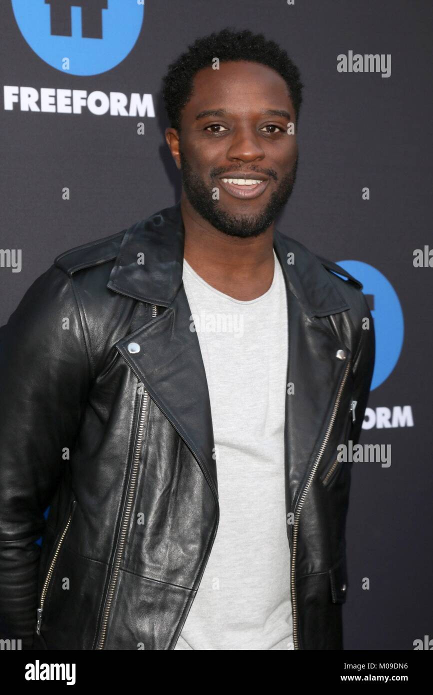 Los Angeles, CA, USA. 18th Jan, 2018. Matt Ward at arrivals for ...