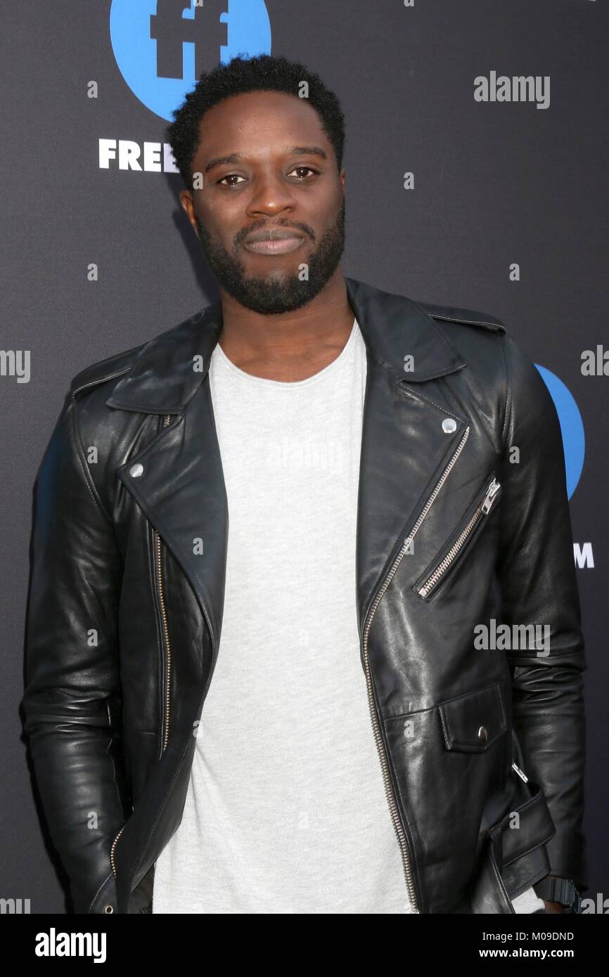Los Angeles, CA, USA. 18th Jan, 2018. Matt Ward at arrivals for ...