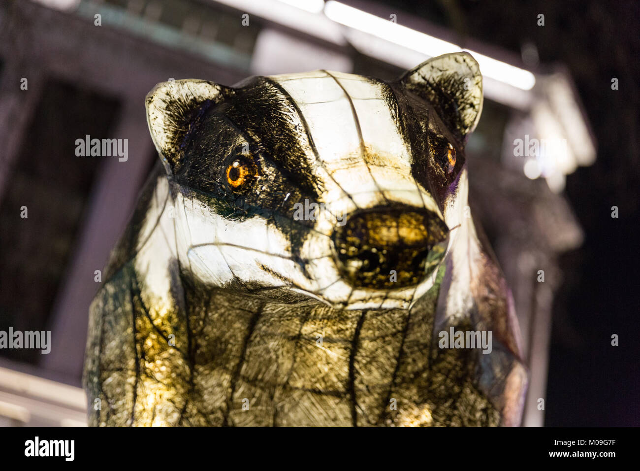 Illuminated badger installation hi-res stock photography and images - Alamy