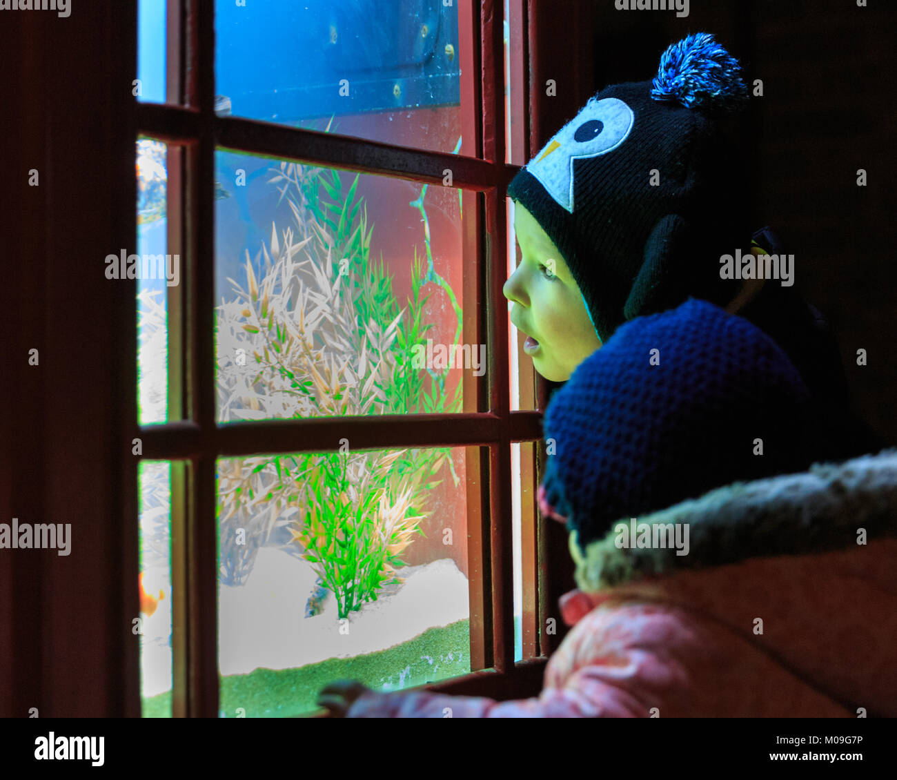 London, UK. 19th Jan, 2018. 'The Aquarium'in Covent Garden is a red ...