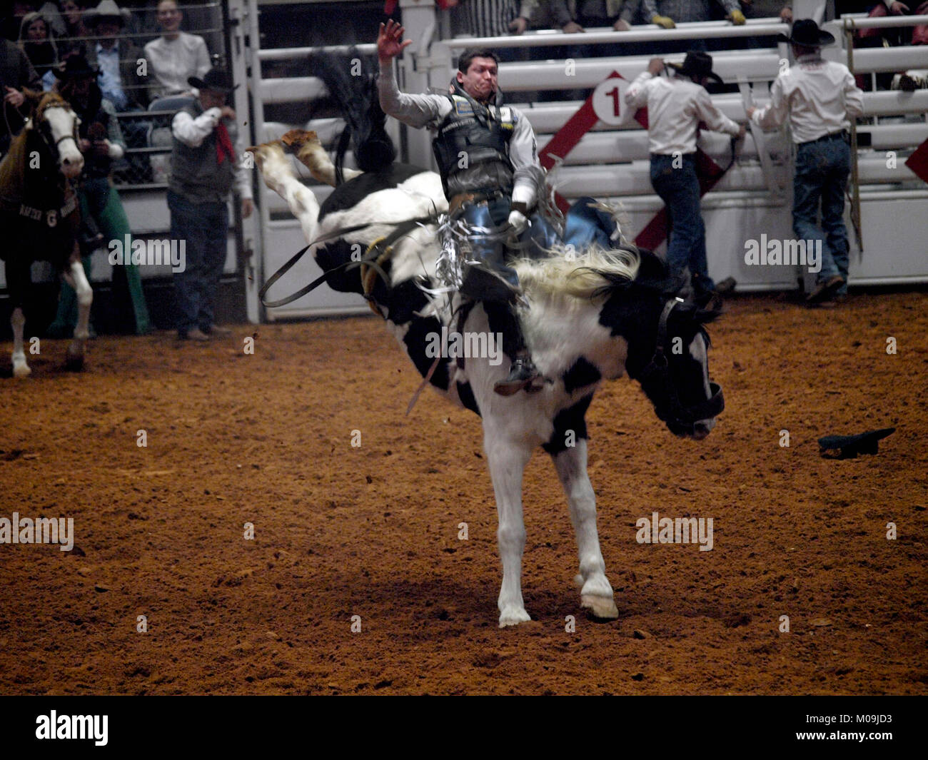 Fort Worth, USA. 19th Jan, 2018. Opening rodeo at the oldest indoor ...