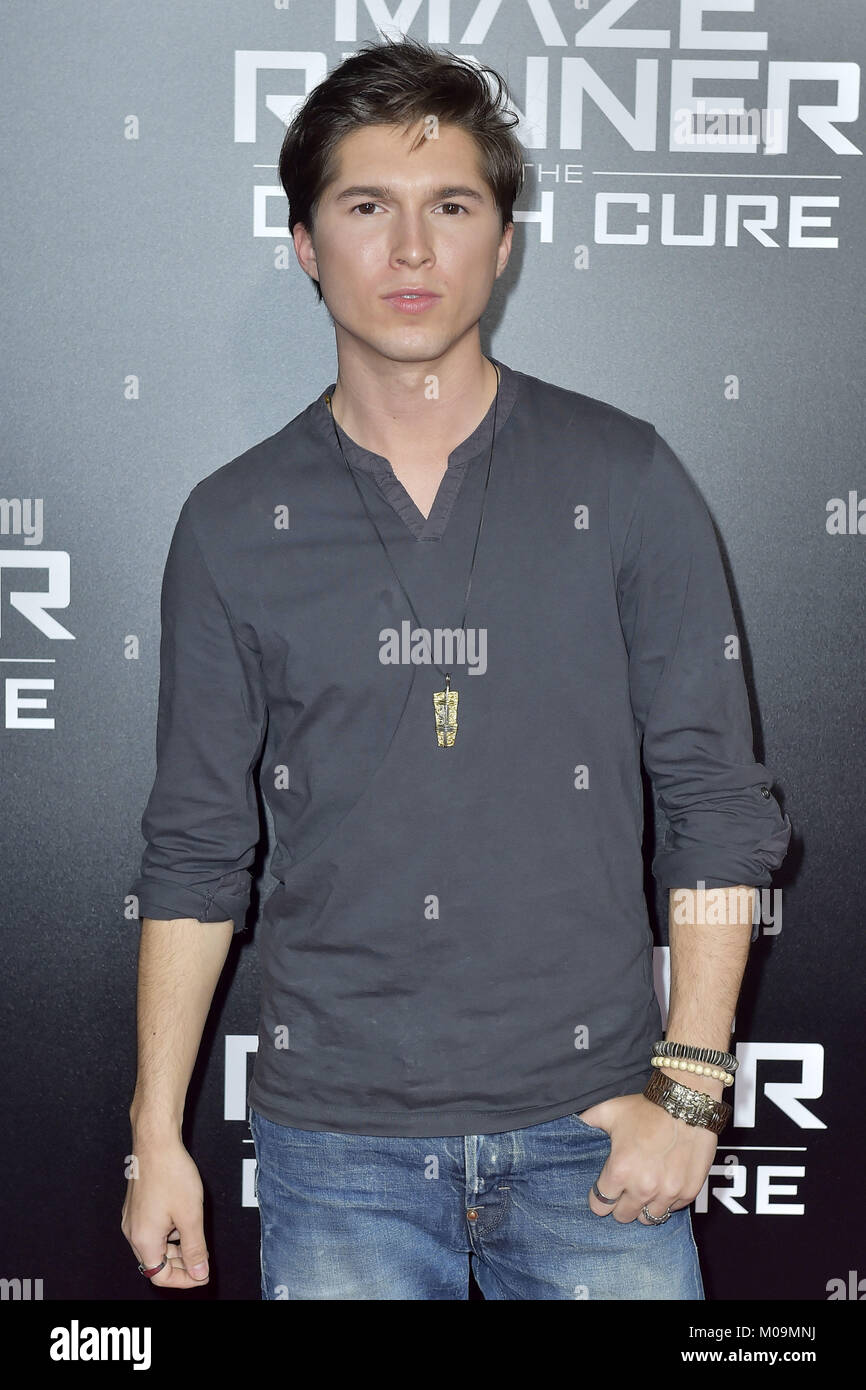 Century City, California. 18th Jan, 2018. Paul Butcher attends the fan ...