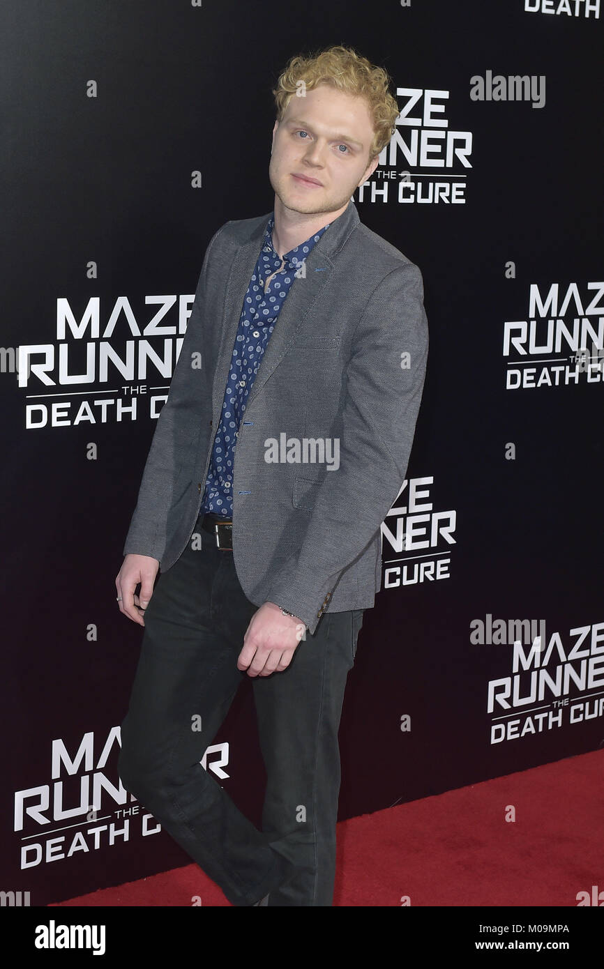 Century City, California. 18th Jan, 2018. Joe Adler attends the fan ...