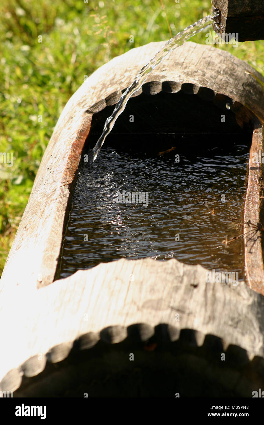 Water spring by the side of mountain path in the Swiss Alps Stock Photo ...