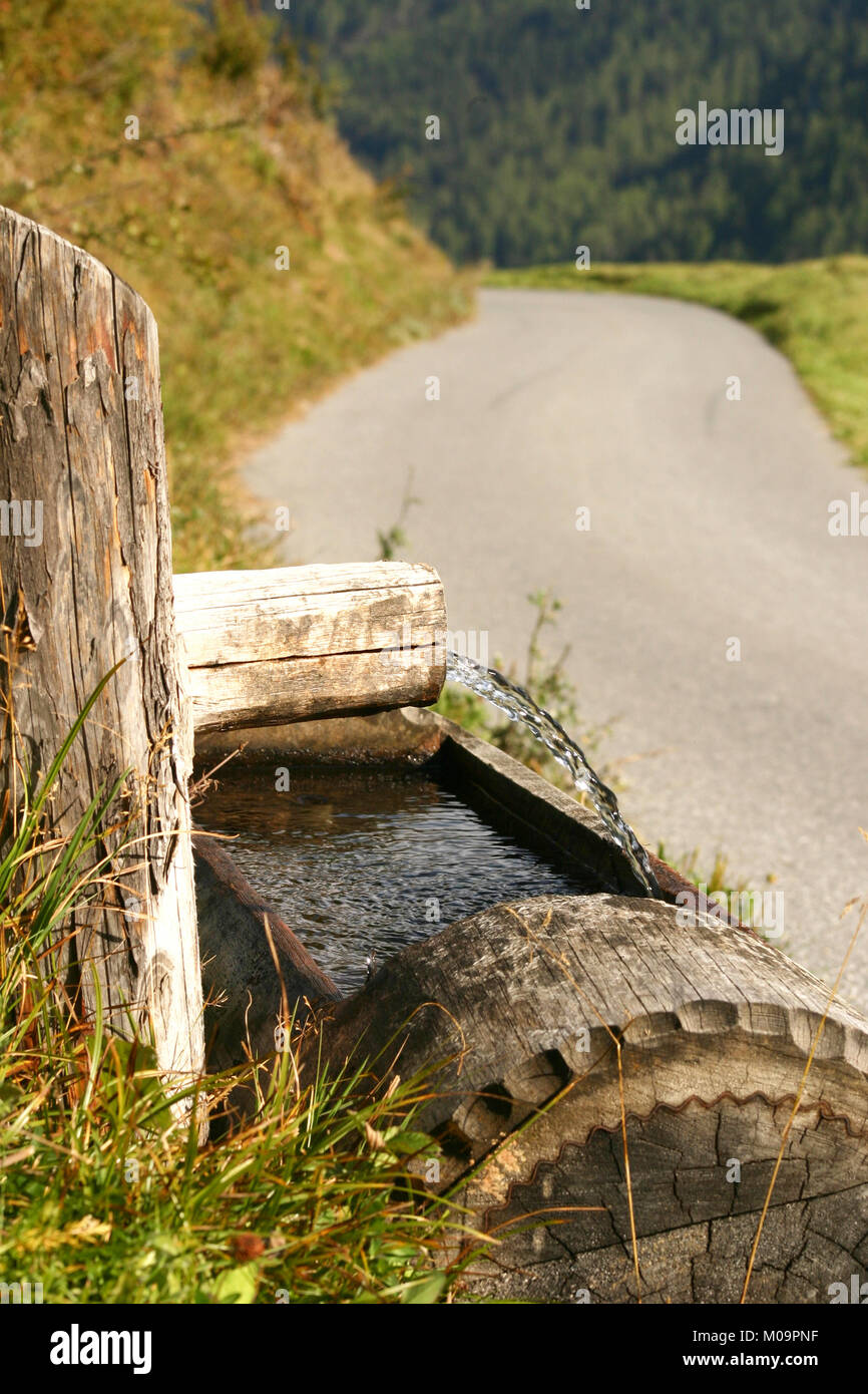 Water spring by the side of mountain path in the Swiss Alps Stock Photo ...