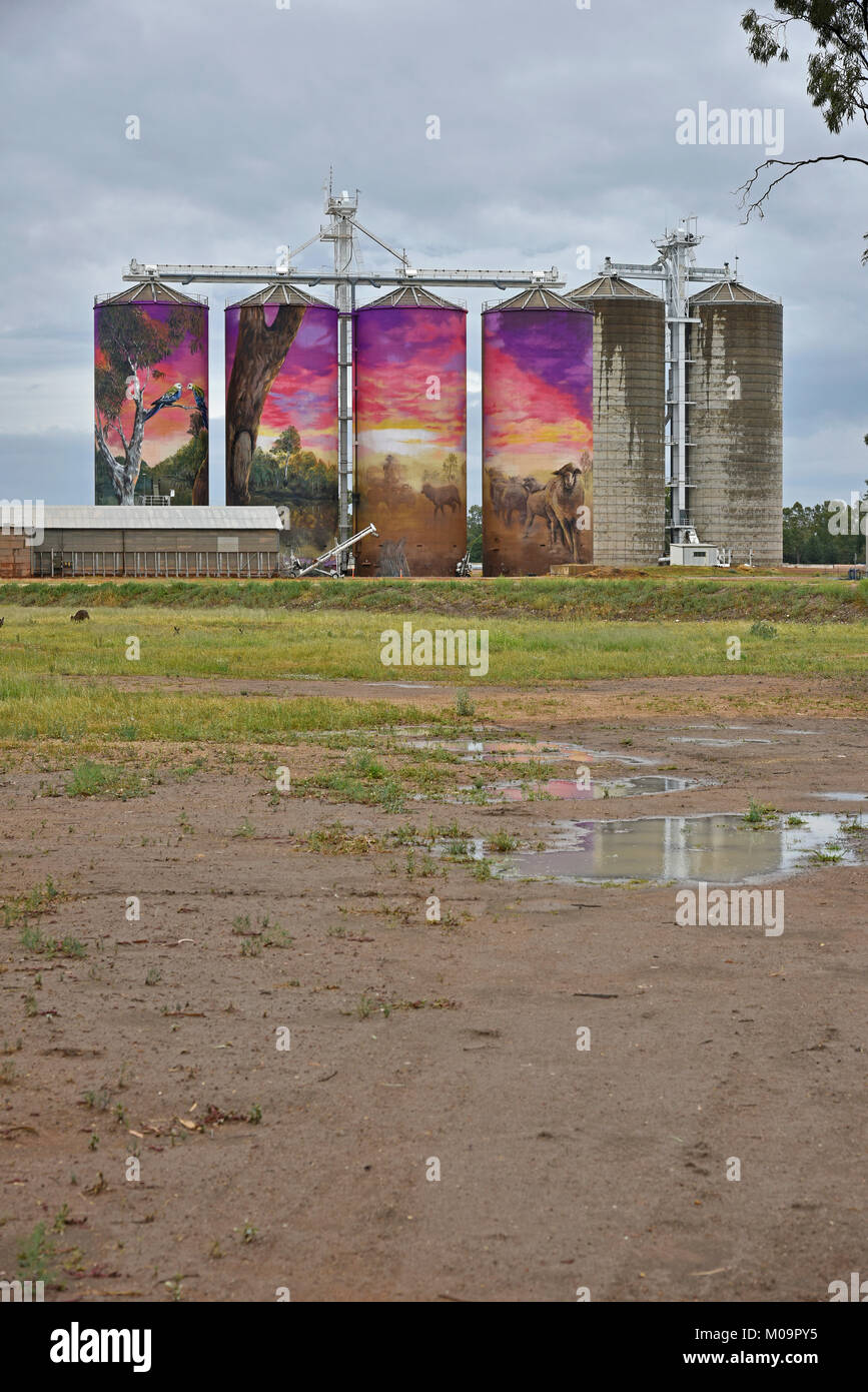 the silos at Thallon in queensland, Australia that have had murals ...