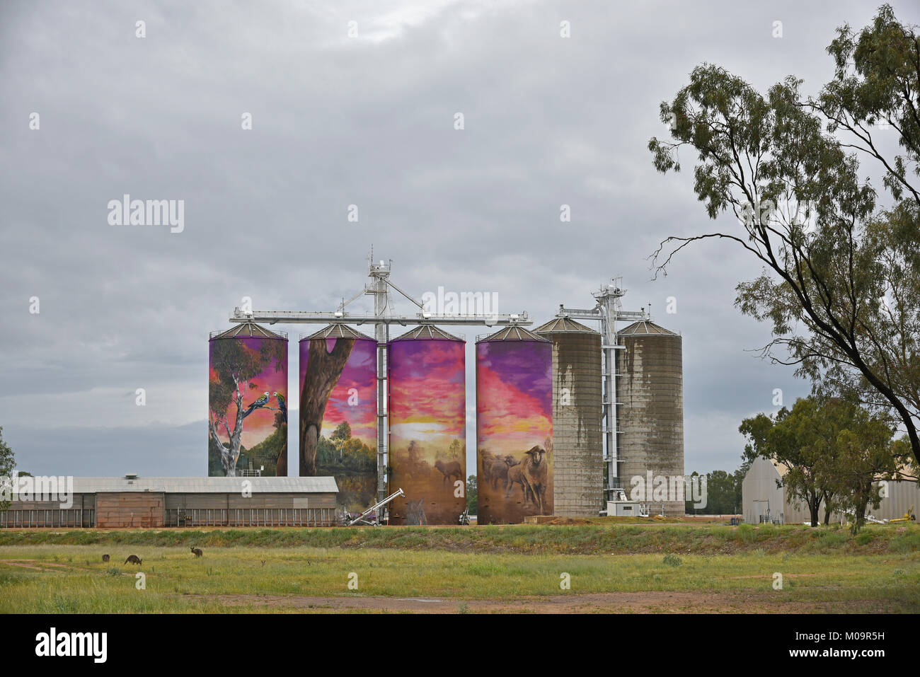the silos at Thallon in queensland, Australia that have had murals ...